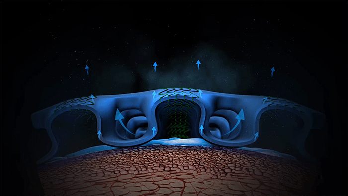 3D ­Bionic Sphere® System – X-BIONIC