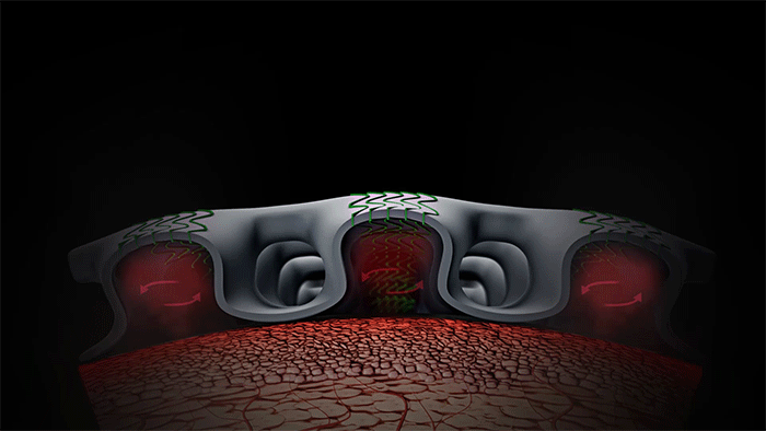 3D ­Bionic Sphere® System – X-BIONIC